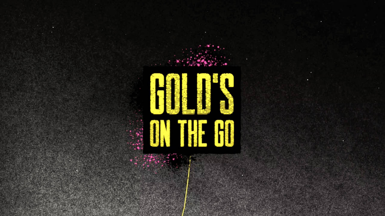 Gold's On The Go | Lake Ridge - Gold's Gym VA